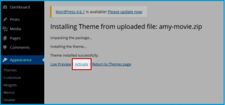 Install Theme via WordPress - Amytheme